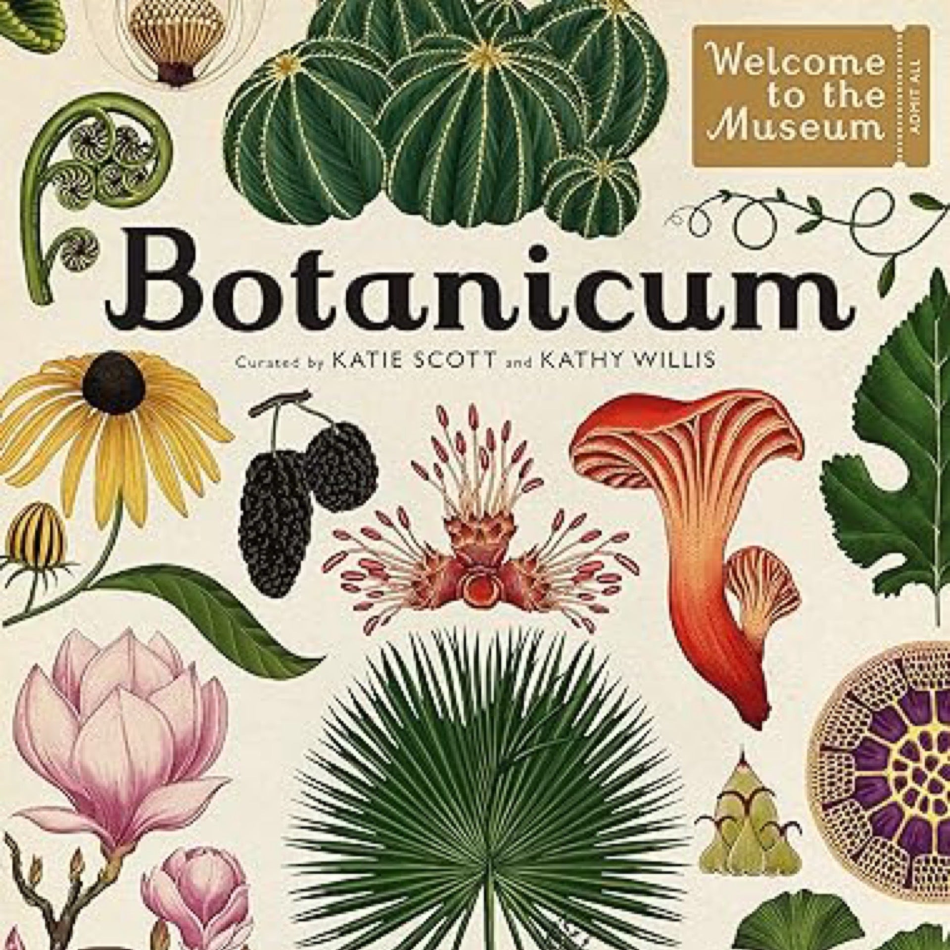 Welcome To The Museum Botanicum | MAE & THE MOON